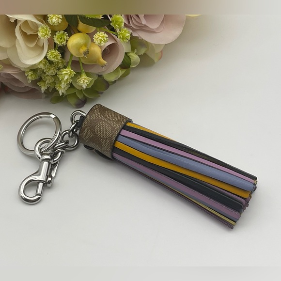 Coach | Accessories | Coach Tassel Bag Charm In Colorblock Signature ...
